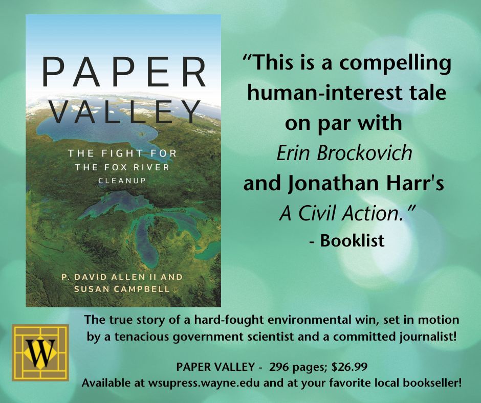 Booklist review – Paper Valley, P. David Allen II and Susan Campbell